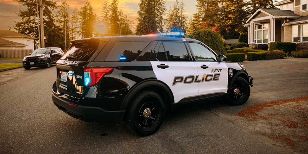 Kent Police recover eight dumped stolen vehicles in field on Monday ...