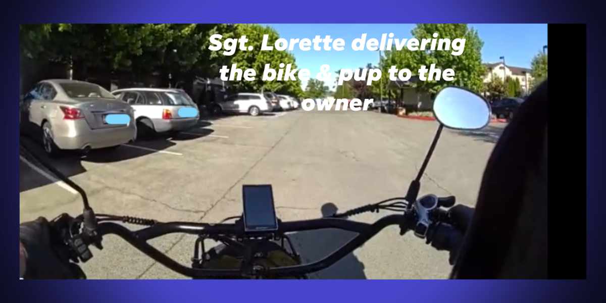 Kent Police officer helps return stolen tricycle and beloved dog to ...
